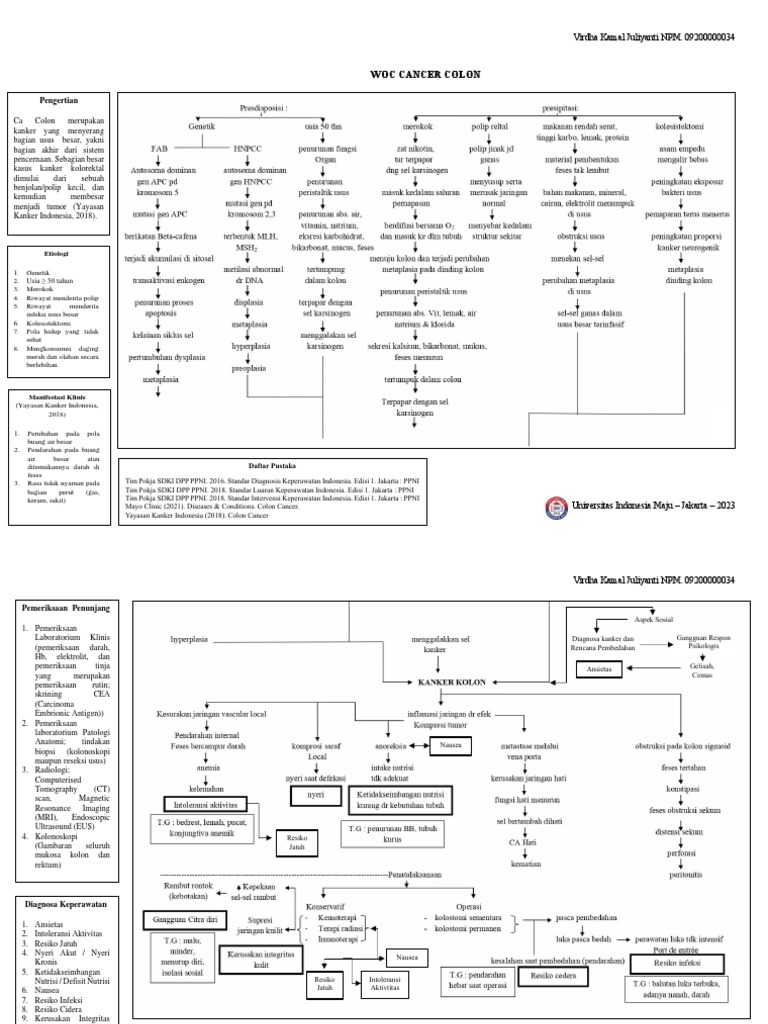 Woc Ca Colon-Virdha KJ Sdki Slki Siki | PDF