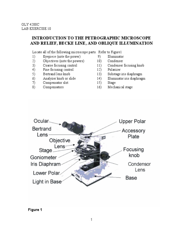 Introduction To The Petrographic Microscope and Relief, Becke Line, and Oblique Illumination ...