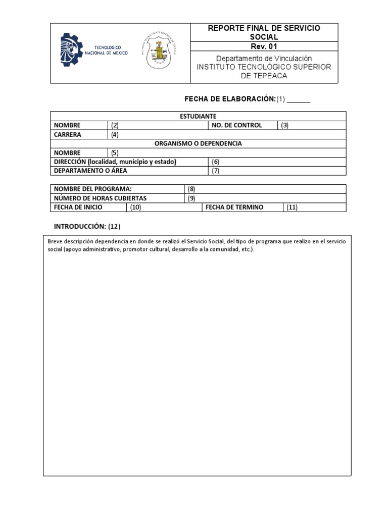 Reporte Final de Servicio Social | PDF