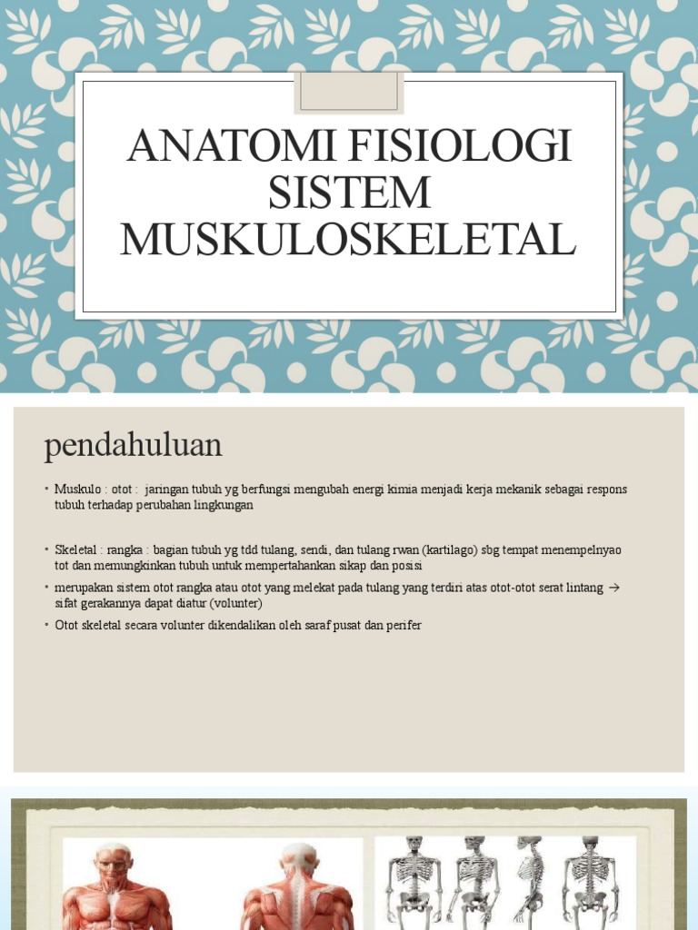Anatomi fisiologi sistem muskuloskeletal | PDF