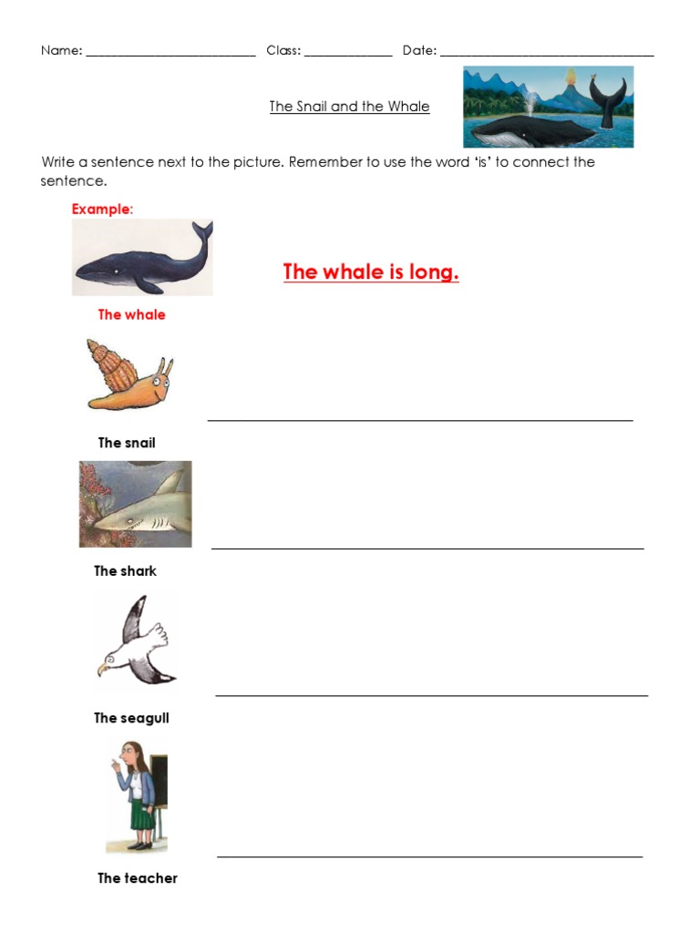Snail and the Whale homework | PDF