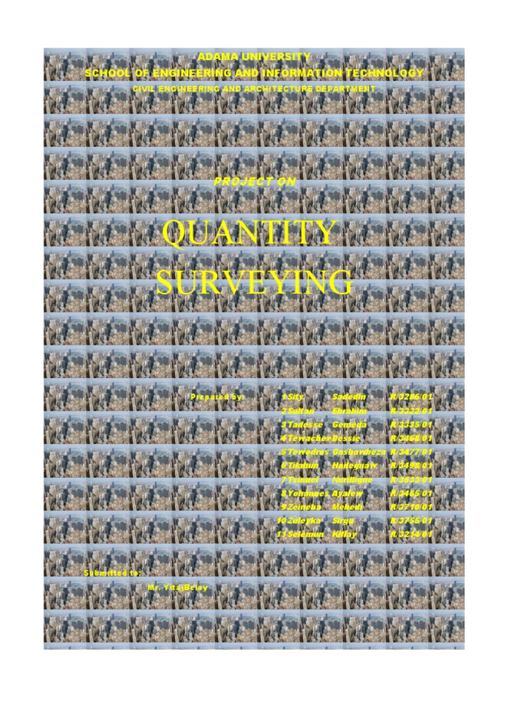 Final Quantity Project | PDF