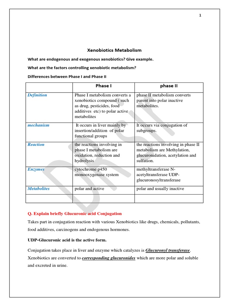 Xenobiotics Metabolism DR Final PDF | PDF