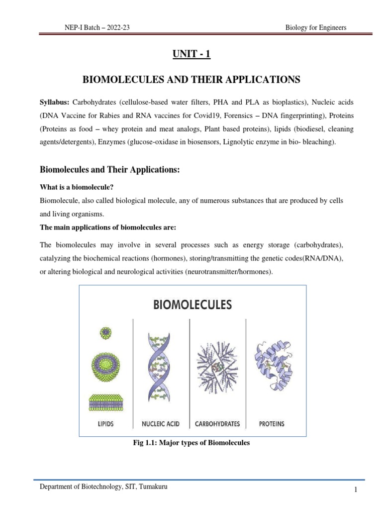 Final Notes-Biology For Engineers | PDF | Biodiesel | Cataract