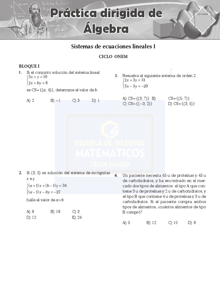 SEPARATA N°01 | PDF | Sistema de ecuaciones lineales | Ecuaciones