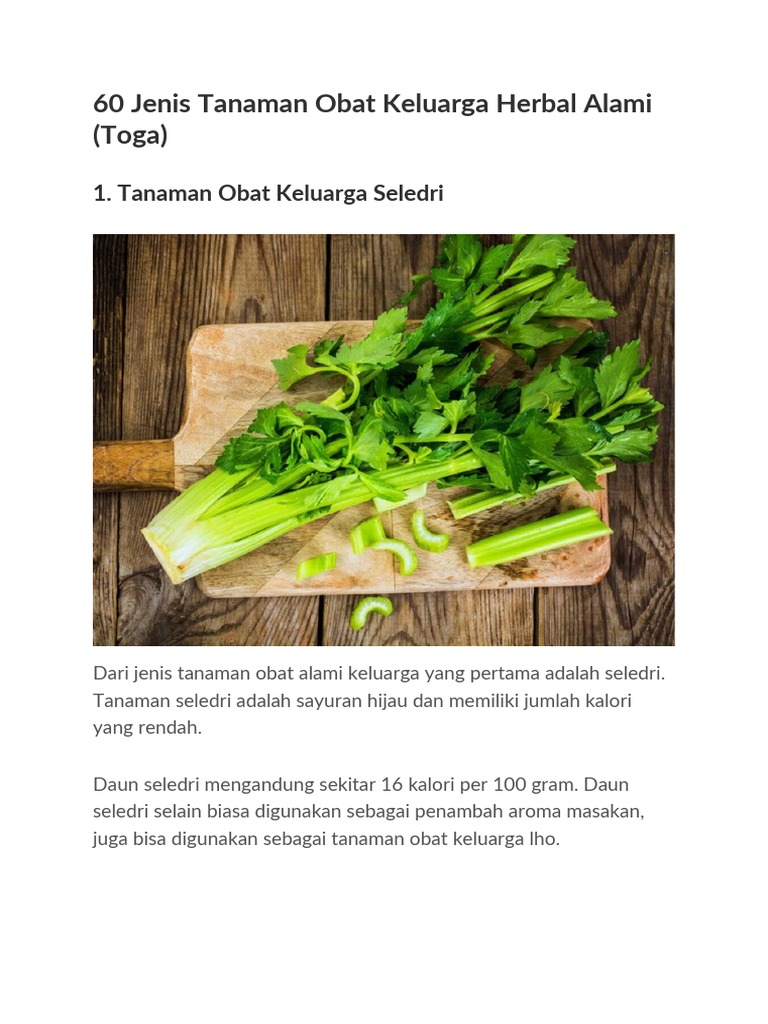 60 Jenis Tanaman Obat Keluarga Herbal Alami | PDF