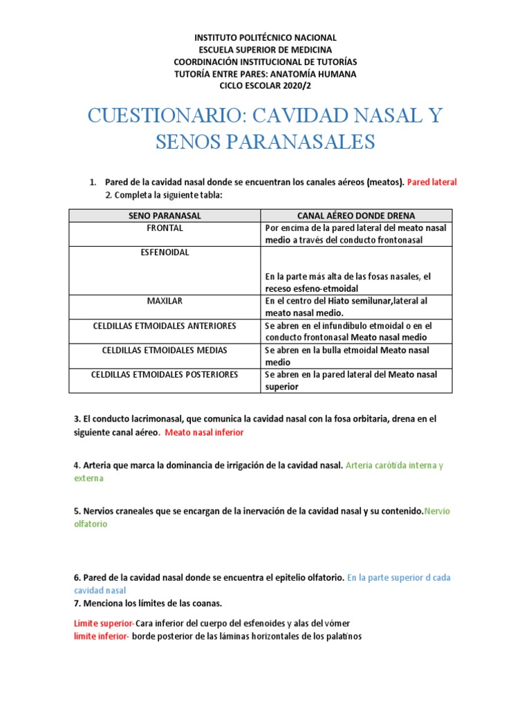 Cuestionario Cavidad Nasal y Senos Paranasales | PDF | Nariz humana | Anatomía