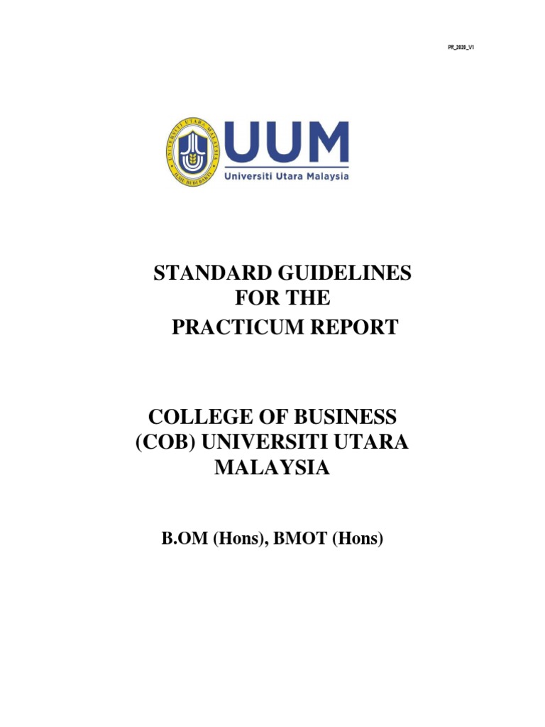 Practicum Report Guidelines for COB Students | PDF | Swot Analysis | Employment