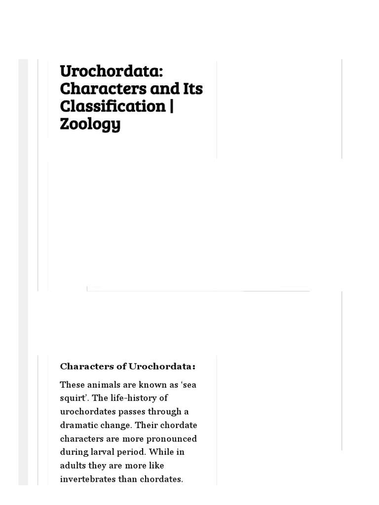 Urochordata - Characters and Its Classification - Zoology | PDF