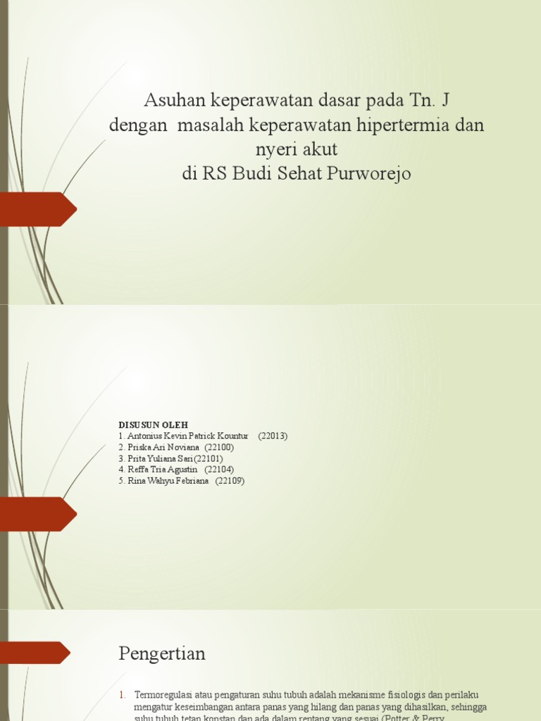Asuhan Keperawatan Kelompok 2 | PDF