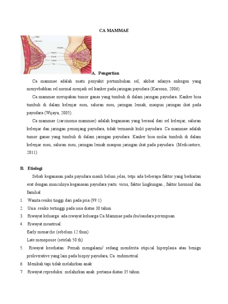 Materi CA MAMMAE | PDF | Sains & Matematika