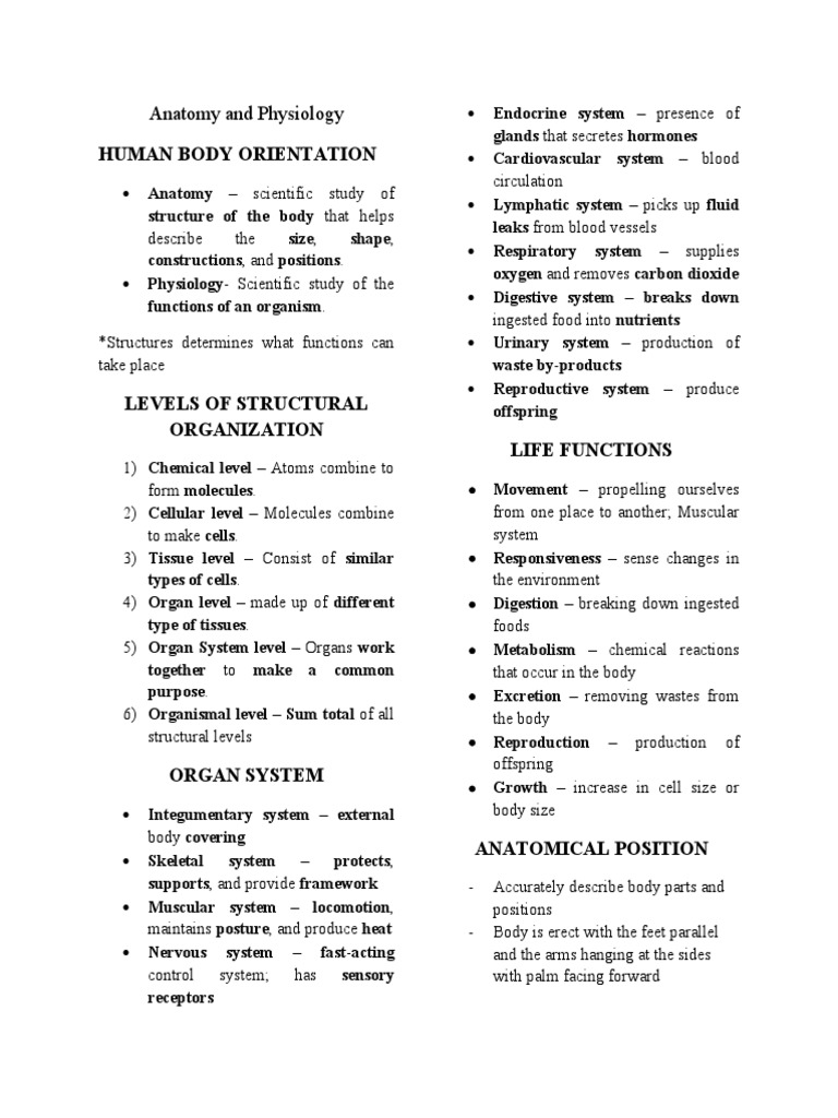 Human Body Orientation | Download Free PDF | Human Body | Anatomical ...