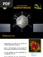Adenovirus | PDF | Adenoviridae | Virus