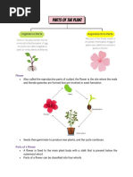 Pollination | PDF | Flowers | Pollination