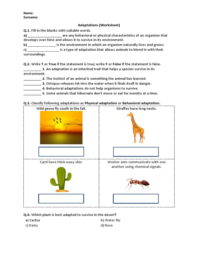Name: Surname:: Cacti Have Thick Waxy Skin. Worker Ants Communicate ...