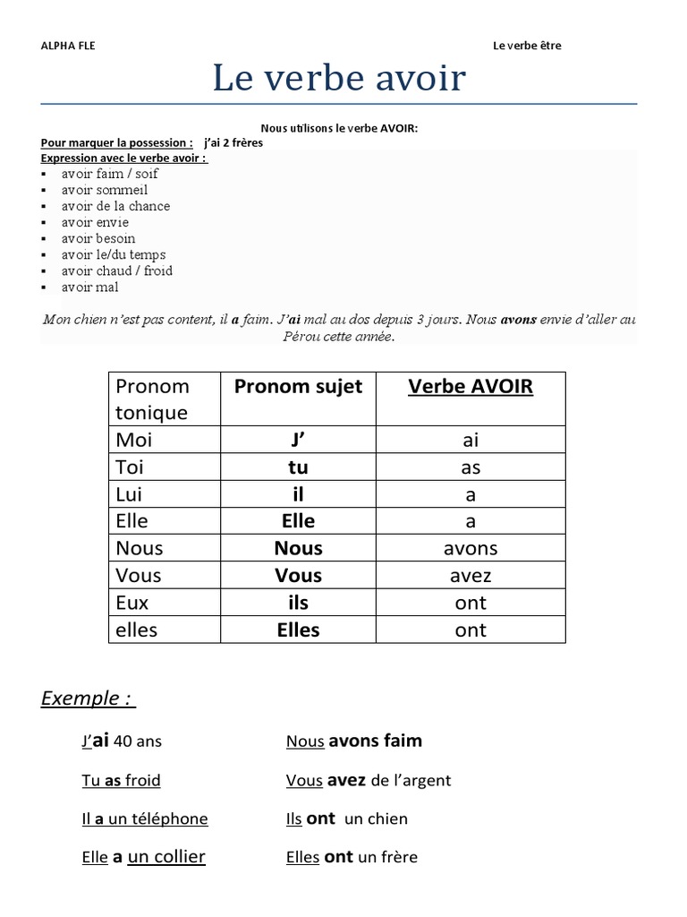Exercices sur le verbe avoir | PDF | Arts du langage et discipline