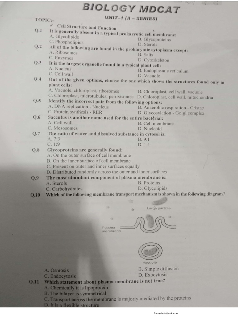 kips test Bio-unit 1 | PDF