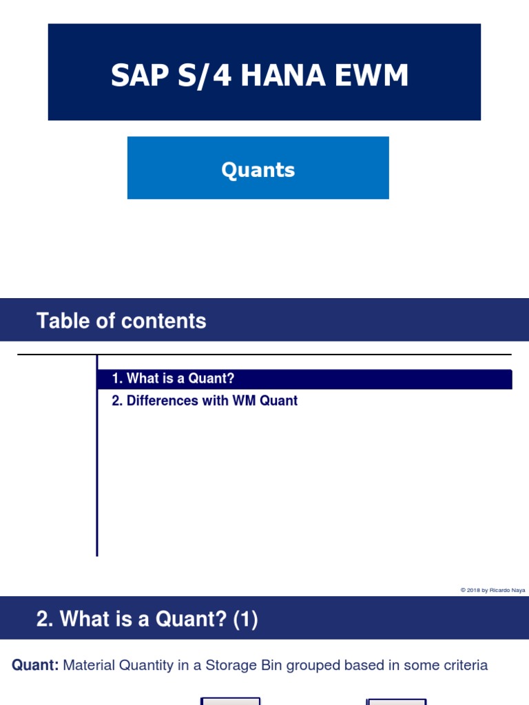 Sap006en 02 05 Quants | PDF