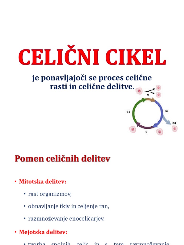 9 Celični Cikel 2 | PDF