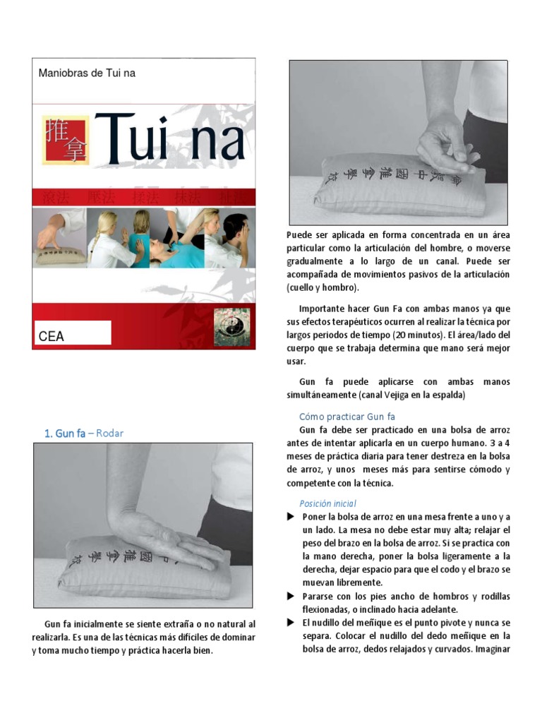 Técnicas Básicas de Tui Na | PDF | Mano | Masaje