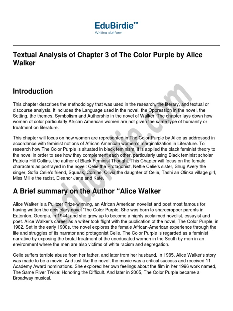 Analysis of Chapter 3 in The Color Purple | PDF | Social Science