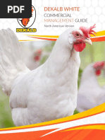 Cobb 500 Breeder Managment Guide | PDF | Beak | Chicken