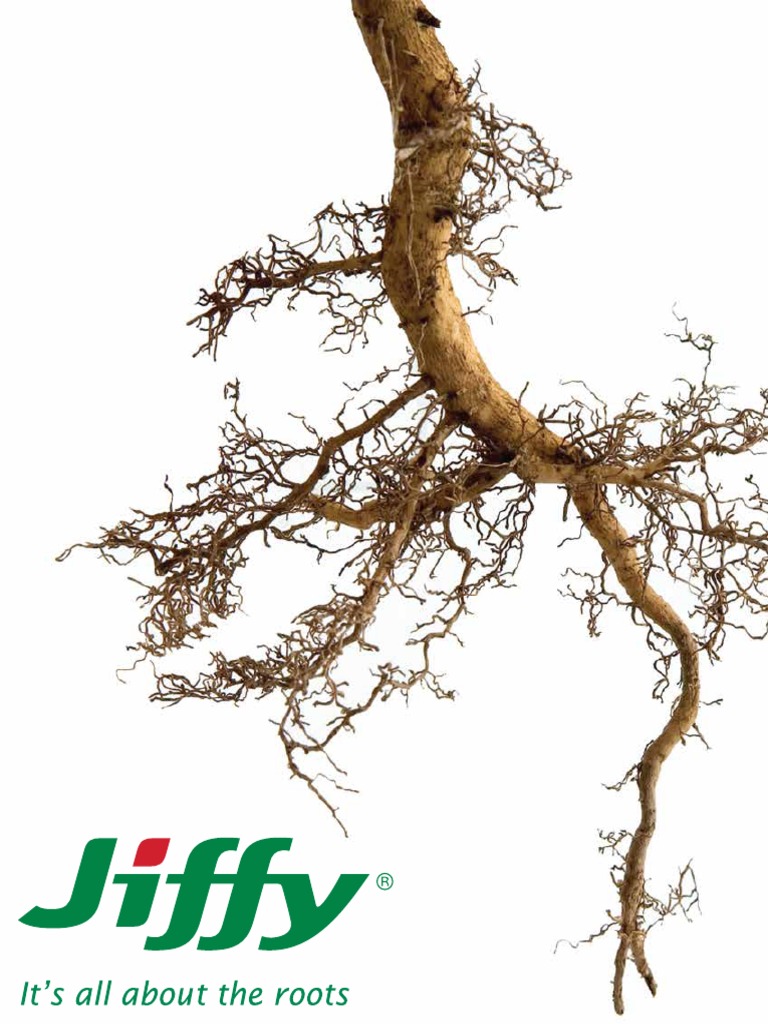 Brochure For South Africa | PDF | Hydroponics | Coconut