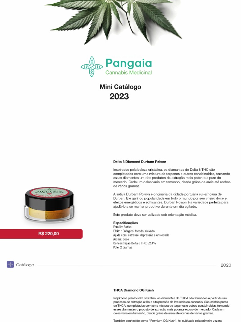 Mini Catálogo Extratos Elite | PDF