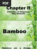 African Bamboo Species Overview | PDF | Bamboo | Plants