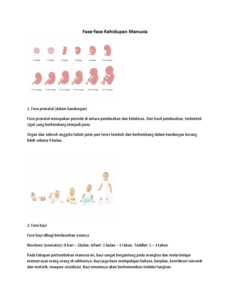 Fase-Fase Kehidupan Manusia | PDF