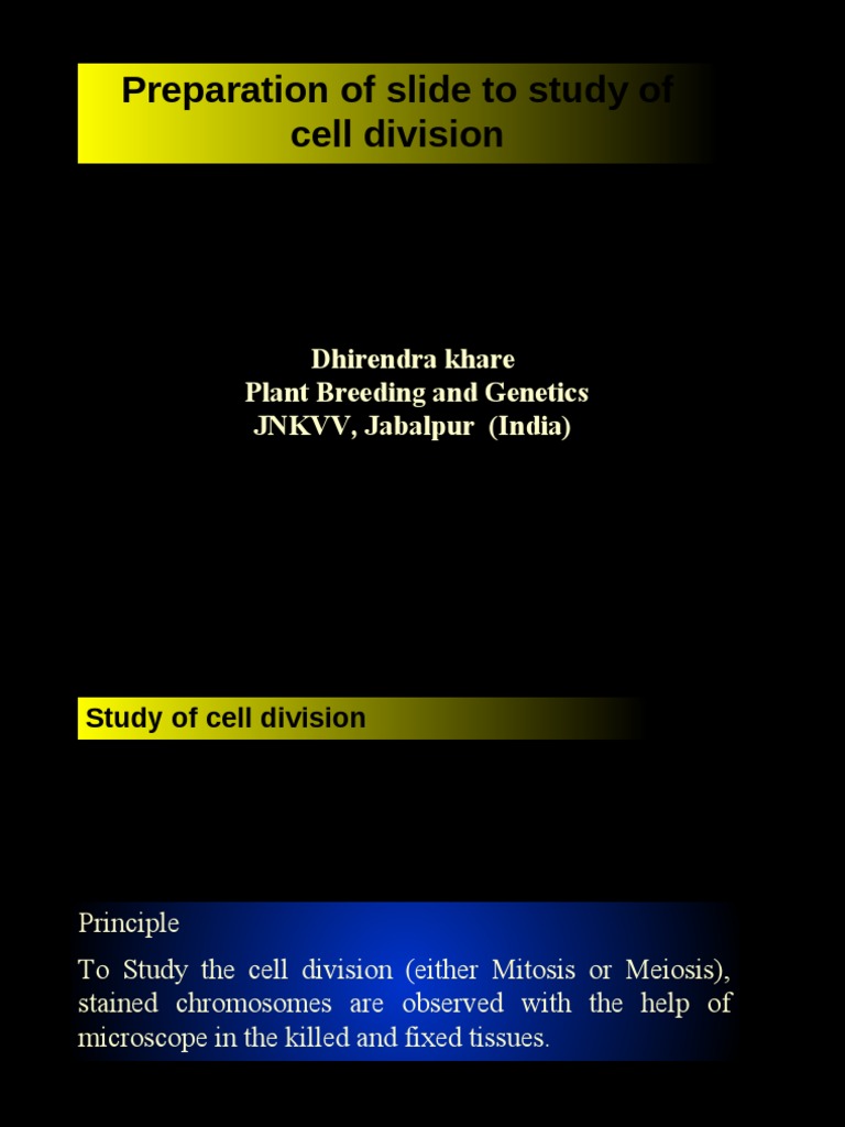 Genetics Study of Cell Division | PDF | Meiosis | Cellular Processes