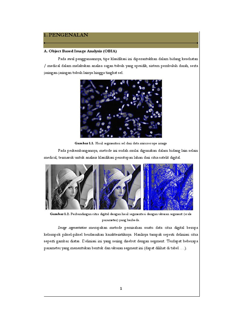 Introducing Object Based Classification Image and Segmentation Image | PDF