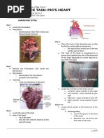 Sheep Heart Dissection Lab Guide | PDF