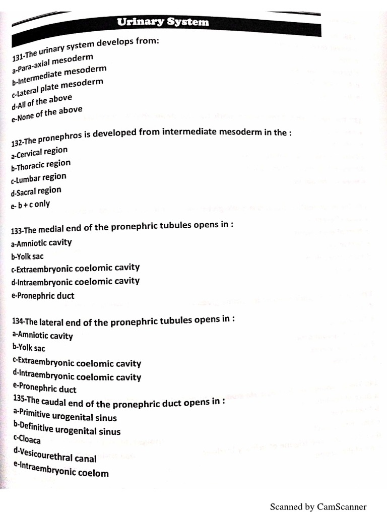 Urinary System Embryology MCQ | PDF