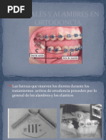 Presentación Edward Angle | PDF | Odontología | Ortodoncia