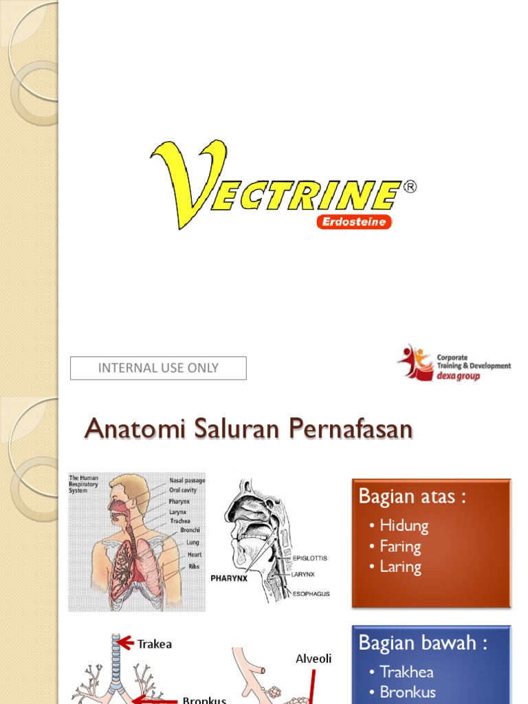 Vectrine: Obat Mukolitik untuk Anak | PDF