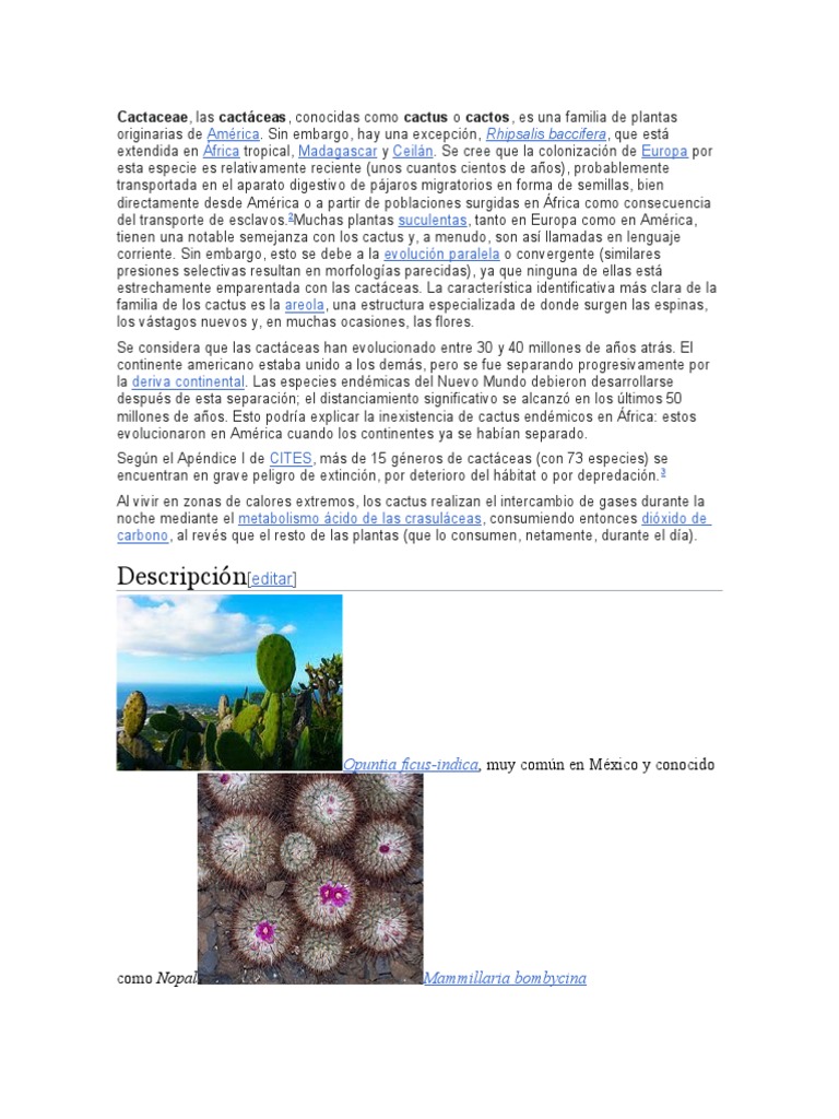 Cactus | PDF | Plantas | Botánica
