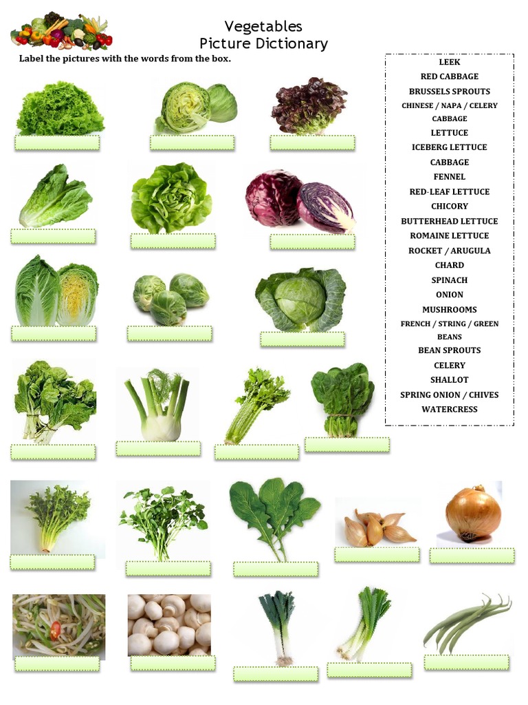 Vegetables 1 - Picture Dictionary | PDF