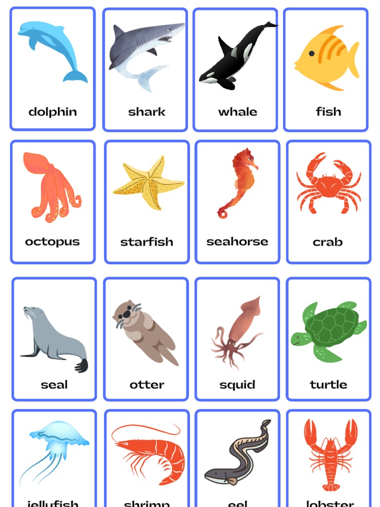 Sea Animals | PDF