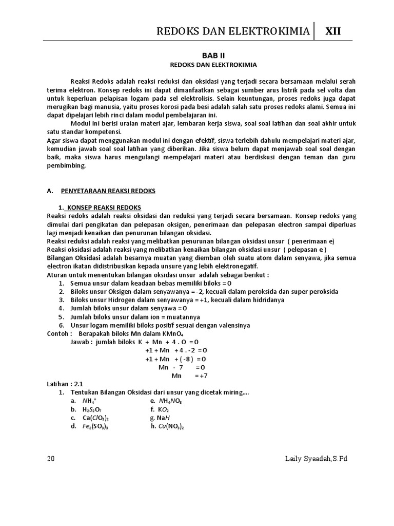 BHN Ajar Redoks Oke | PDF