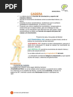 Anatomía de los Músculos Mediales del Muslo | PDF | Extremidades ...