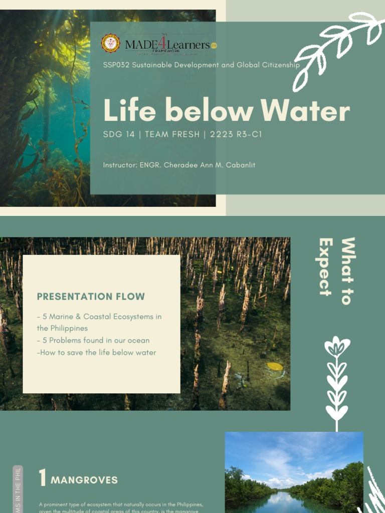SDG14 Life Below Water - What Are The Type of Bodies of Water | PDF ...