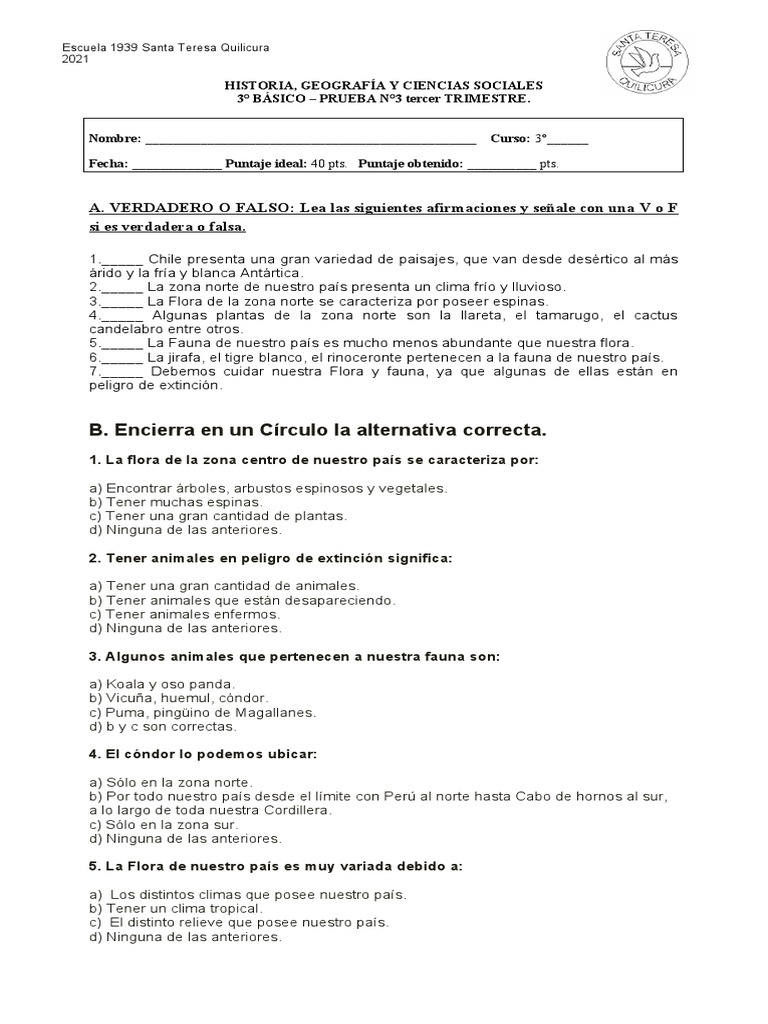 Prueba 3 Básico - Última | PDF