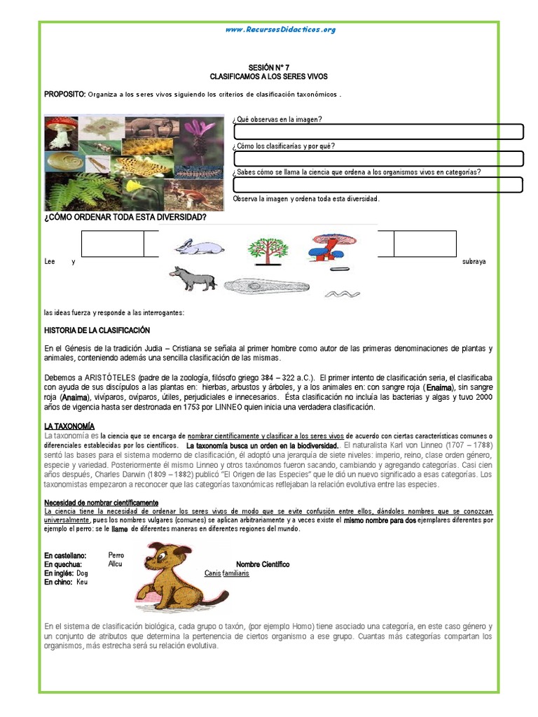 Actividad 7 Taxonomia | PDF | Taxonomía (biología) | Taxón