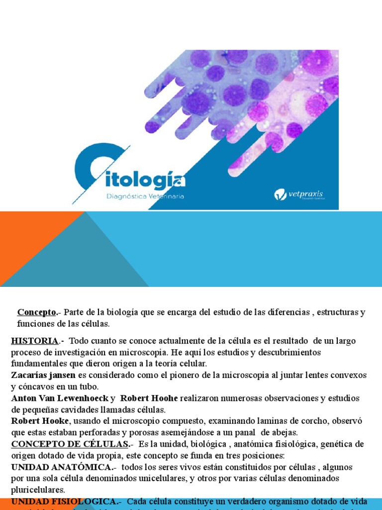 Tipos de Citología para 6° Año | PDF | Biología Celular) | Organismos