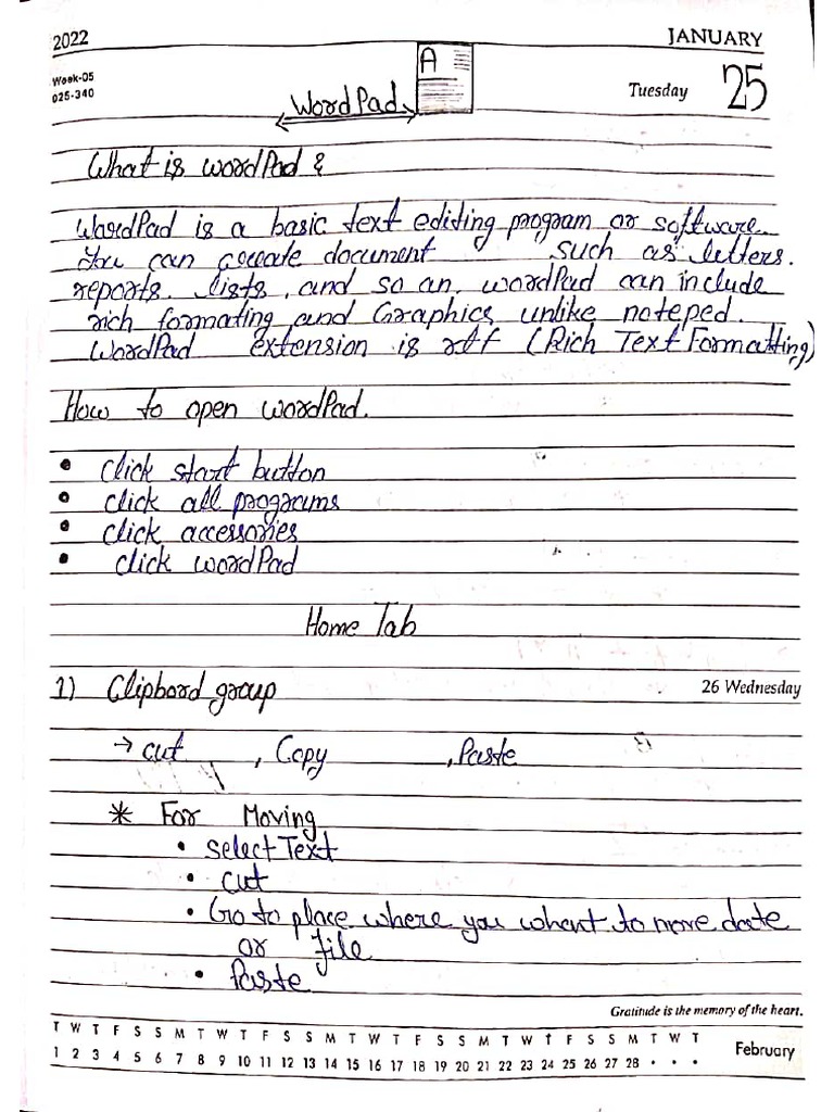 Word Pad Notes | PDF