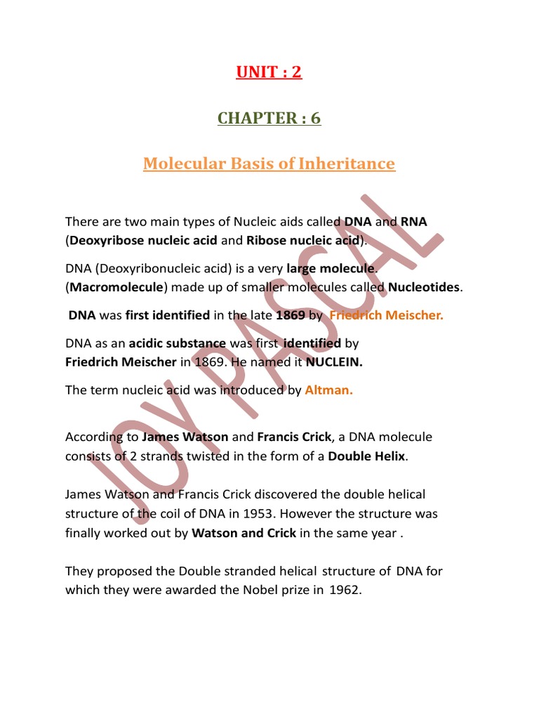 Molecular Basis of Inheritance. | PDF | Nucleotides | Dna