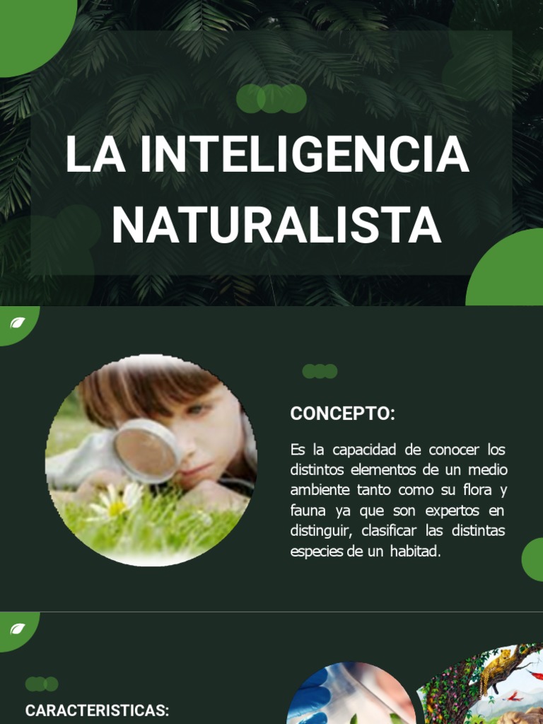 Inteligencia Naturalista | PDF