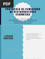 Protocolo Corona de Acero | PDF