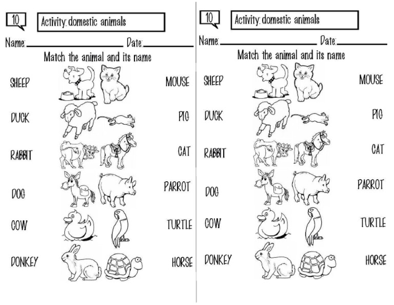 animals-act-1-pdf